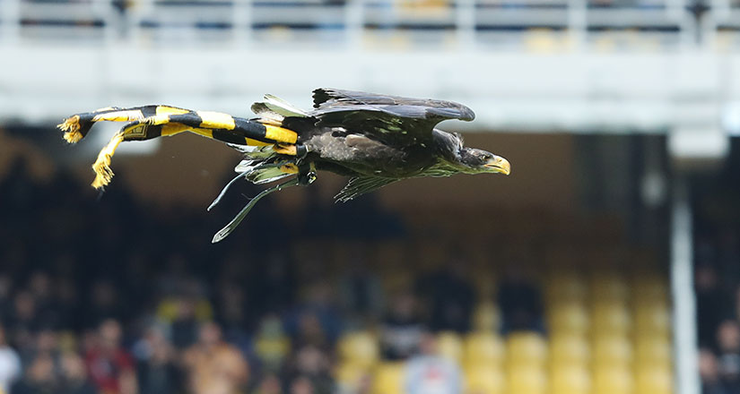 Στα καλύτερα του και ο Οδυσσέας (VIDEO) - AEK1924.gr